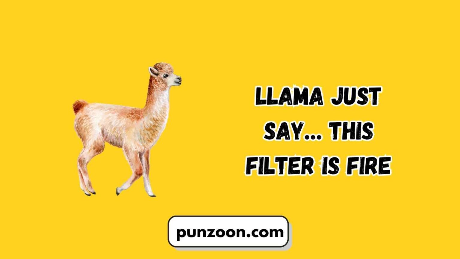 191+ Llama Puns That’ll Make You Spit Out Laughs (2025)